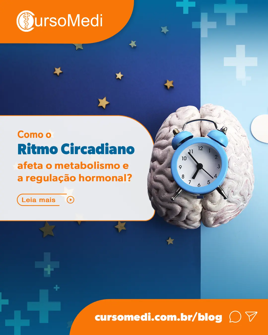 Como o ritmo circadiano afeta o metabolismo e a regulação hormonal ...